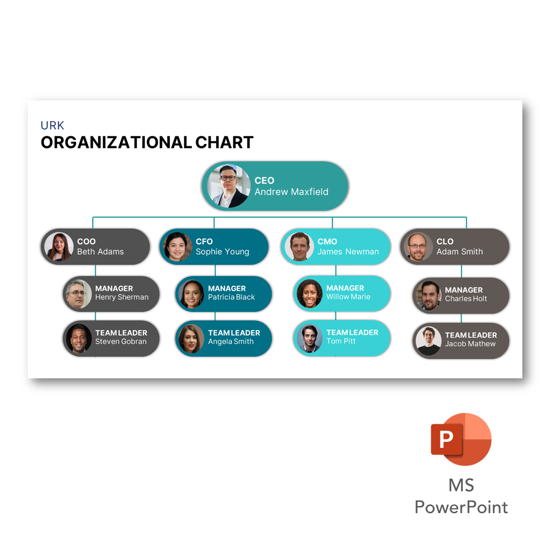 Org Chart Templates High Quality Professional Templates